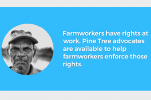 Self-Help Tools | Pine Tree Legal Assistance